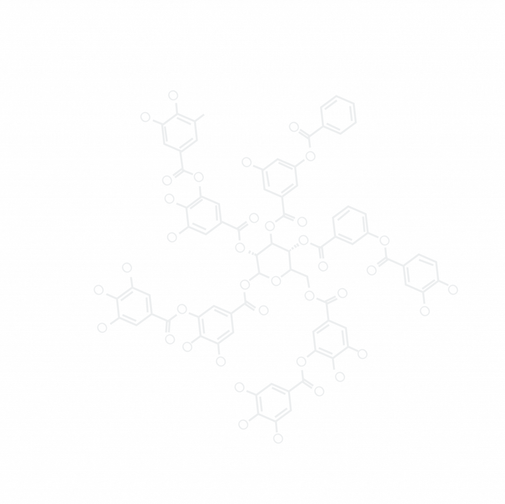 The Wellbeing Collection | Premium Tea Extracts | Finlays