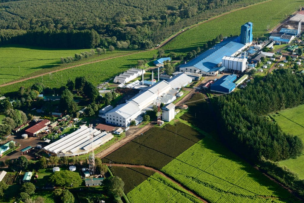 Finlays Expands Tea Extract Capabilities with Saosa Tea Factory