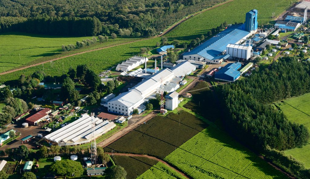 Finlays Tea Extracts Kenya | Finlays