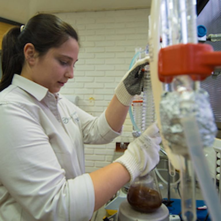 Finlays Argentina - Argentinian Tea Supplier | Finlays