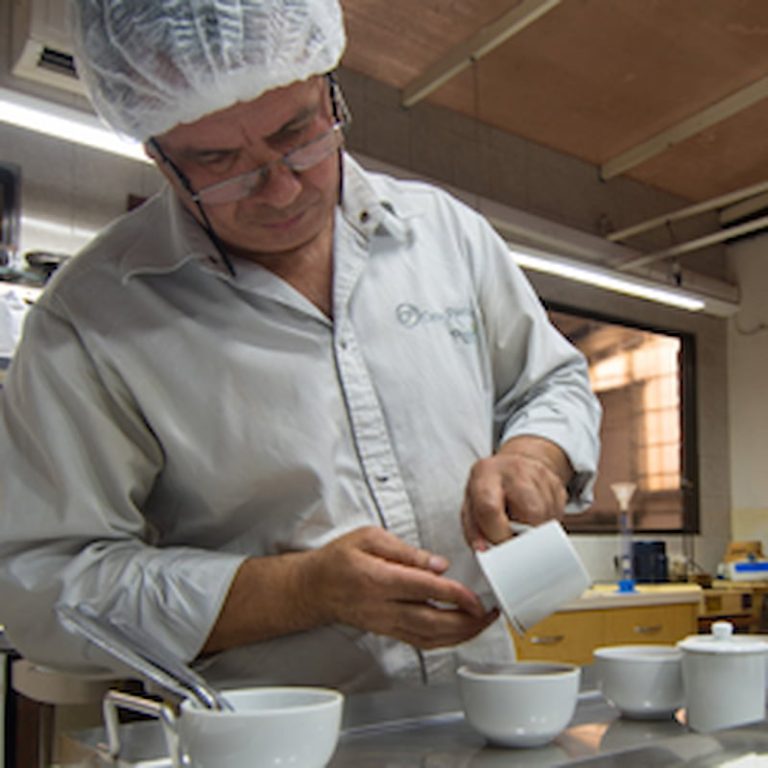 Finlays Argentina - Argentinian Tea Supplier | Finlays