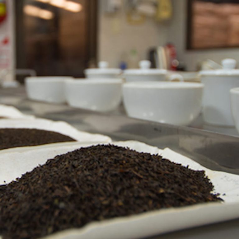 Finlays Argentina - Argentinian Tea Supplier | Finlays