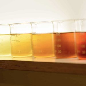 B2B Tea & Coffee Distributor | Finlays